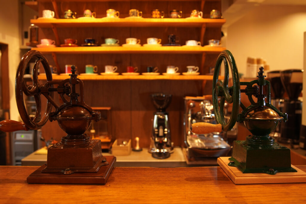 ROSTRO図鑑 | ROSTRO（ロストロ）